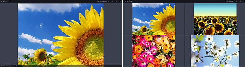 Previewing and comparing files in Assets – Home