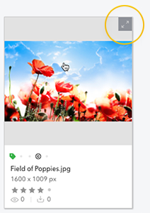 Previewing and comparing files in Assets – Home