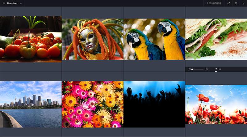 Previewing and comparing files in Assets – Home